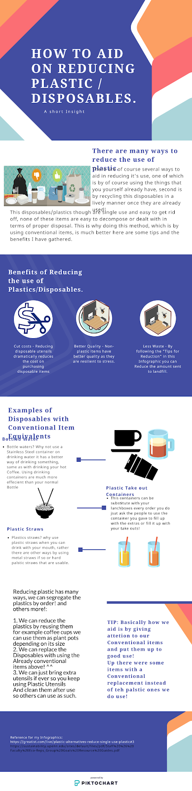 Lessening the use of plastic/disposables and replace conventional items