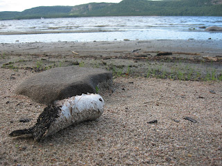 Remembering To Breathe - Rachel G. Hackenberg