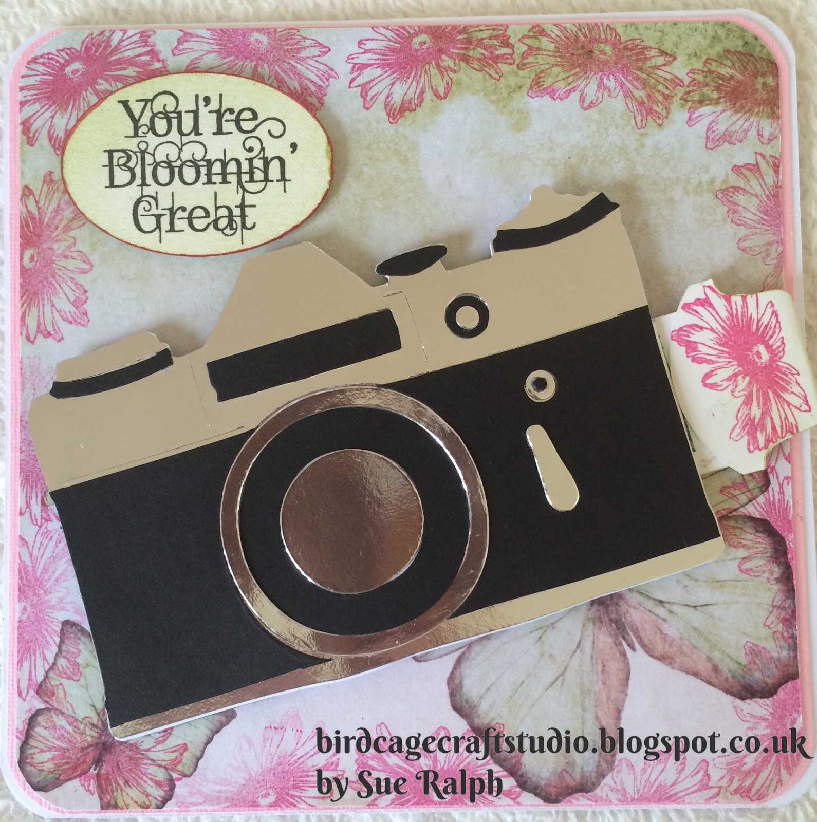 Birdcage Craft Studio: Sliding Camera Card Tutorial