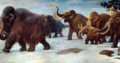 ¿Por qué se extinguieron los últimos mamuts sobre la Tierra? - El blog ...