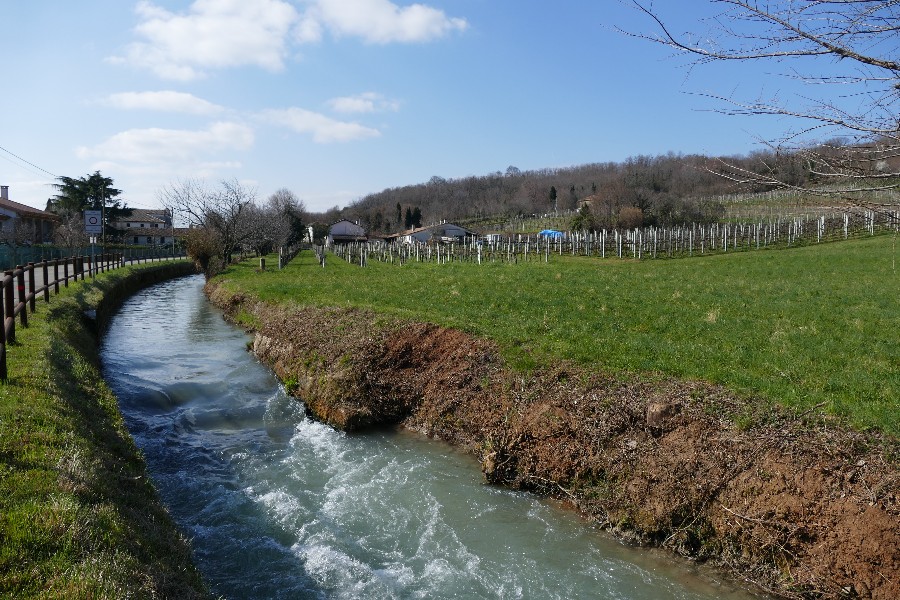4 passeggiate facili da fare sul Montello - Montagna di Viaggi