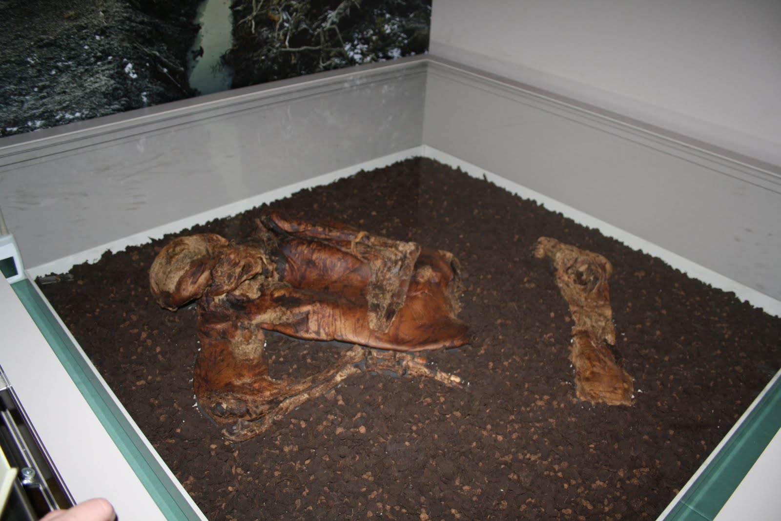 ordinary things, smashed and reconstituted: Three wollongongers do ...