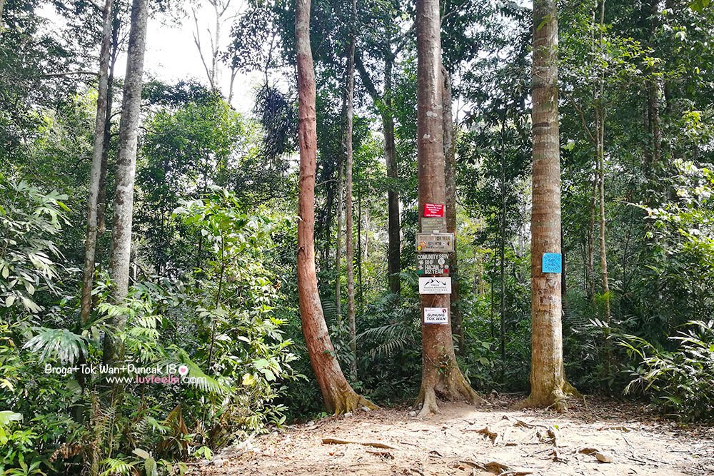 3in1 Day Hike // Bukit Broga + Gunung Tok Wan + Puncak 18 士毛月连攻三峰【茅草山+笃 ...