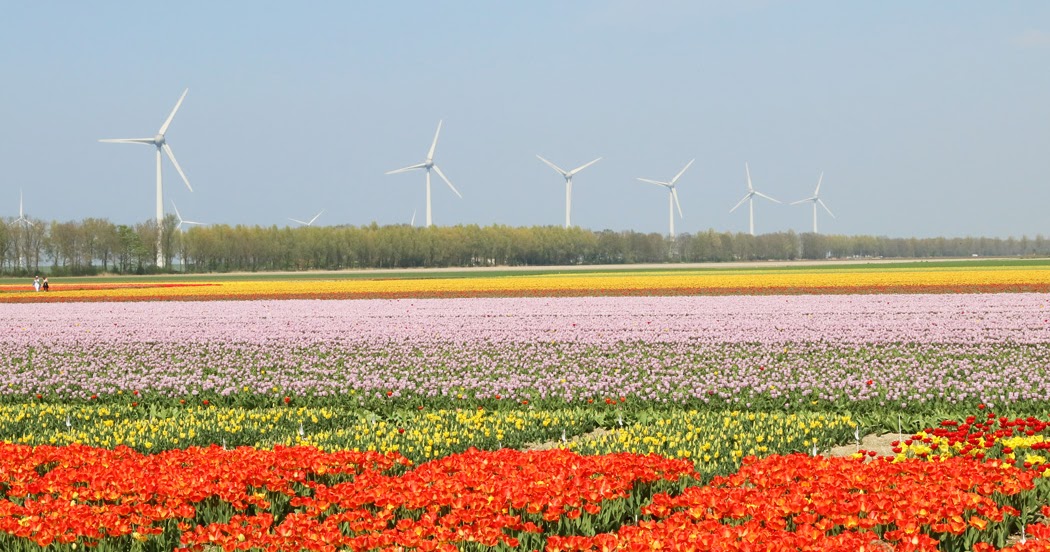 Nederland vakantieland: Flevoland