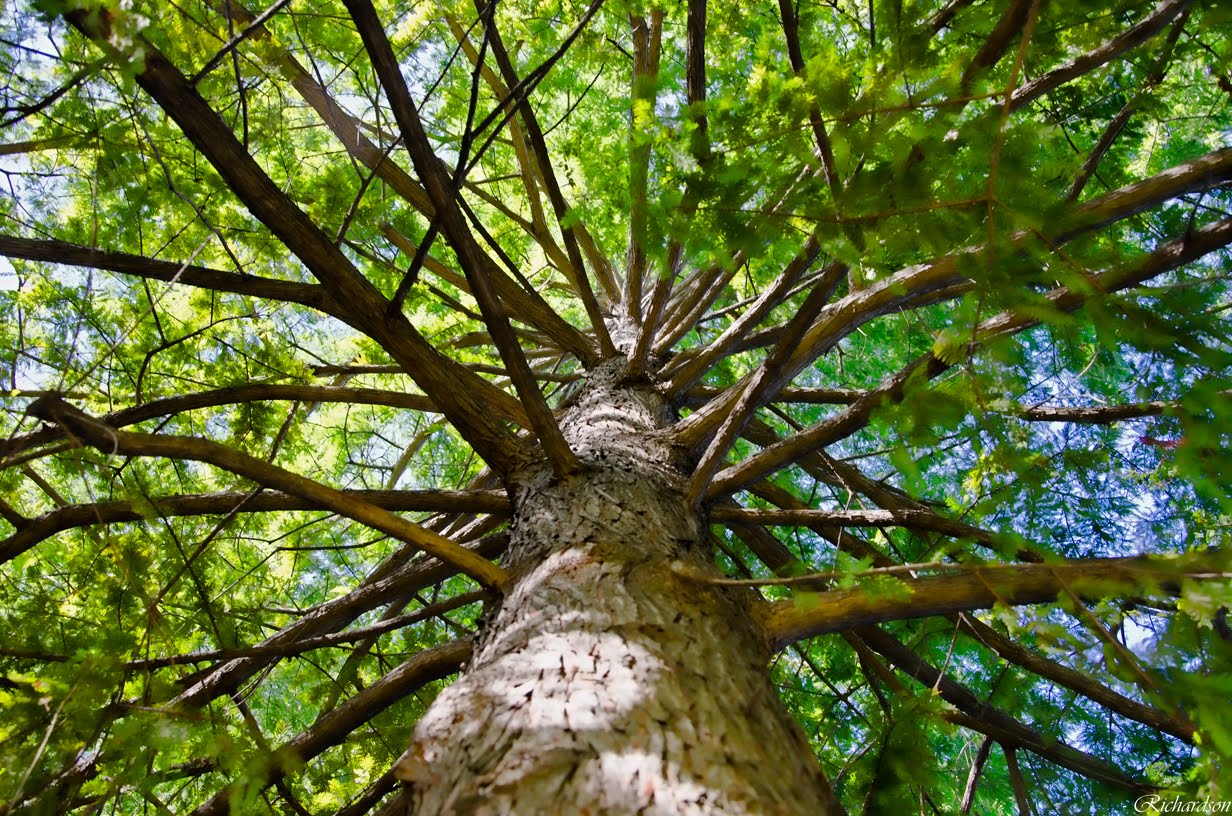 Sixteen Megapixels To Burn