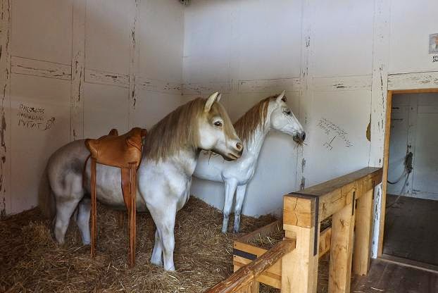 The Lost Fort: Living With Horses - Roman Cavalry Barrack in the Limes ...