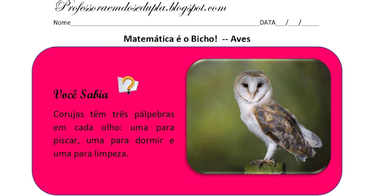 Atividades Professora Jéssica .: Matemática é o bicho! Aves