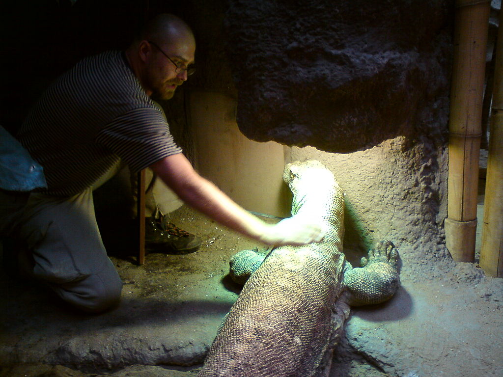 Info Hewan Tumbuhan Prasejarah: Komodo, maskot satwa Indonesia