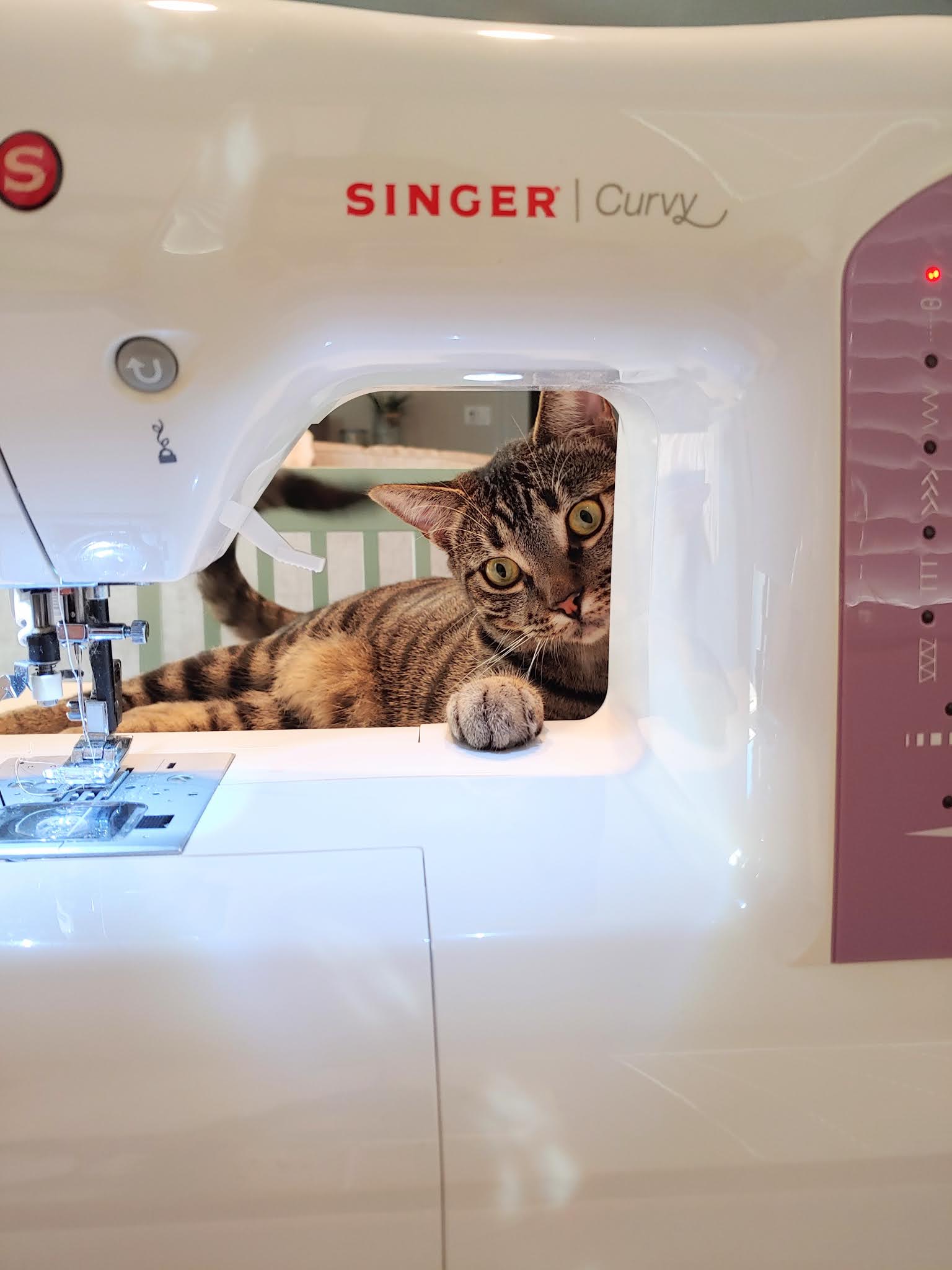 Micah Carling Photography: Monday Moments Of Me #227