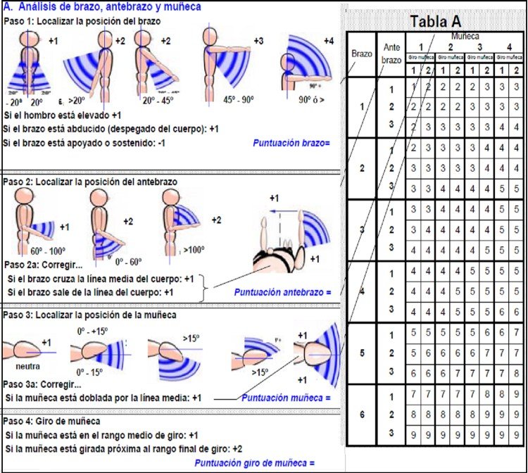 4. Diseño del area de trabajo