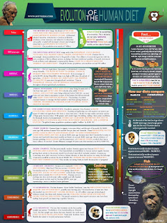 The Evolution of the Human Diet - An Infographic