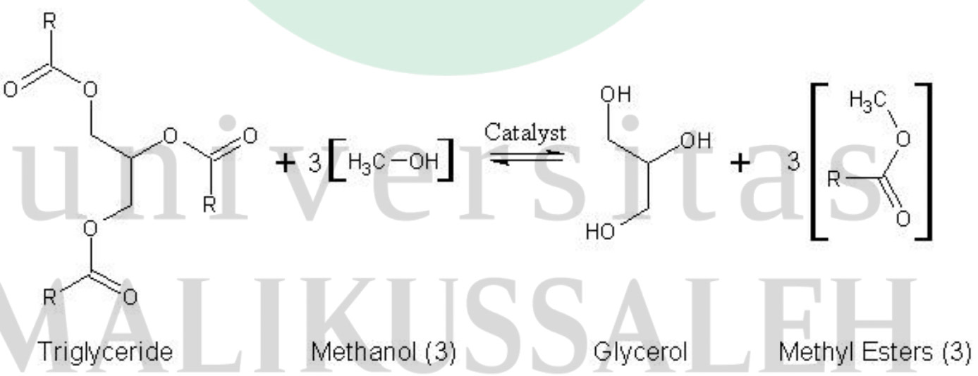 Laporan Praktikum Transesterifikasi - Praktikum Proses Teknik Kimia 1 ...
