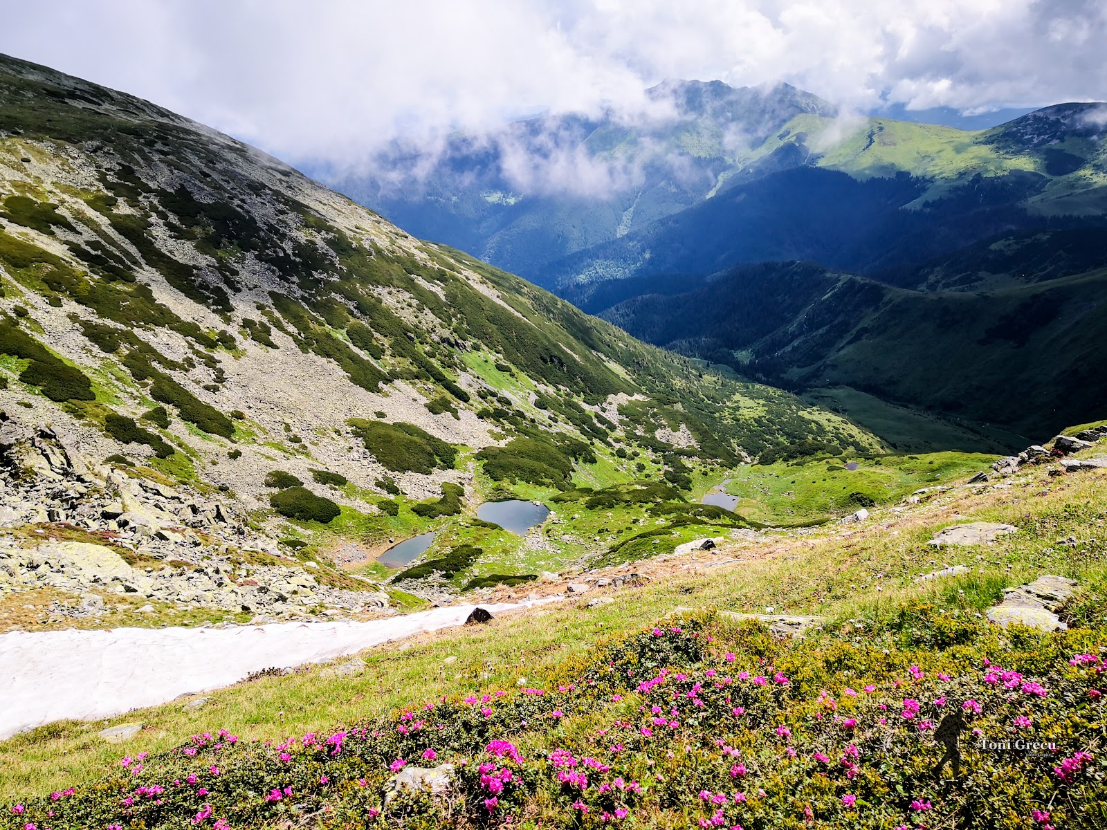 Vârful Pietrosul Rodnei - Vârful Buhăescu Mare ~ Jurnal de drumeții