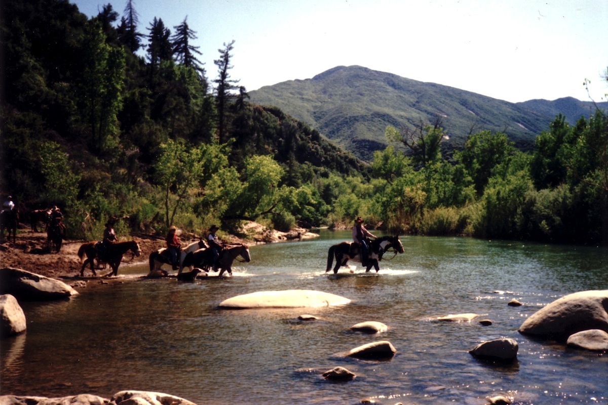 A drifting cowboy: Cowboy Culture -- Tony Alvis was the genuine article