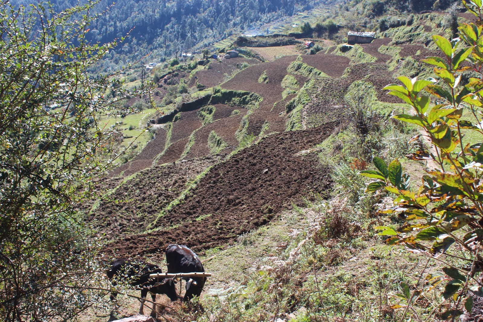 1 an pour découvrir 3 continents : Amérique du Sud - Océanie - Asie ...