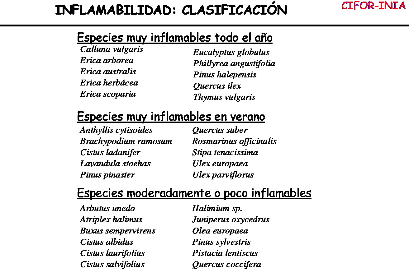 Inflamabilidad de especies – Impresiones de un forestal
