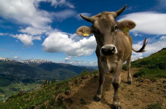 ¡Feliz cumpleaños a mí! Y un regalo para vos