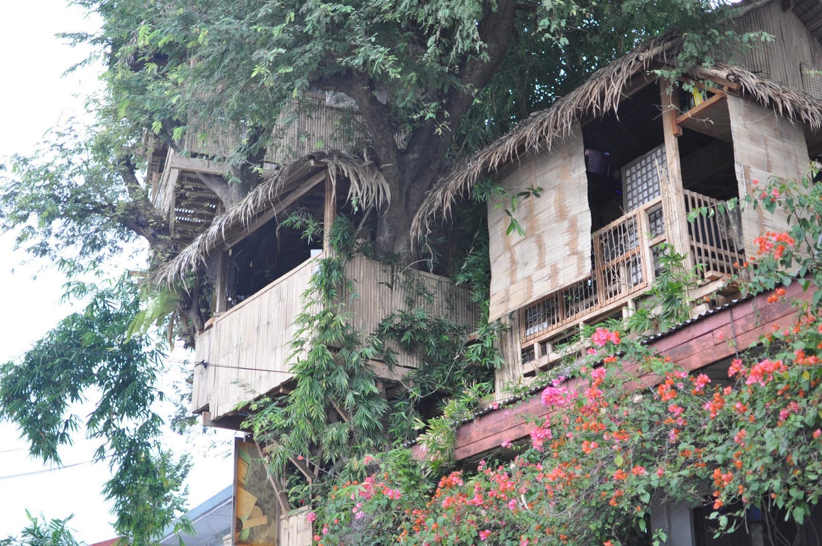 Viaje del Sol | Jay Herrera and Kinabuhayan Cafe | Highflyer Weekend