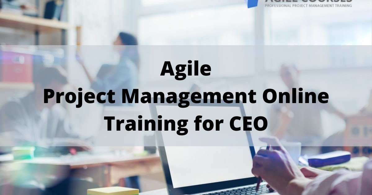 Agile Project Management Online Training for CEO