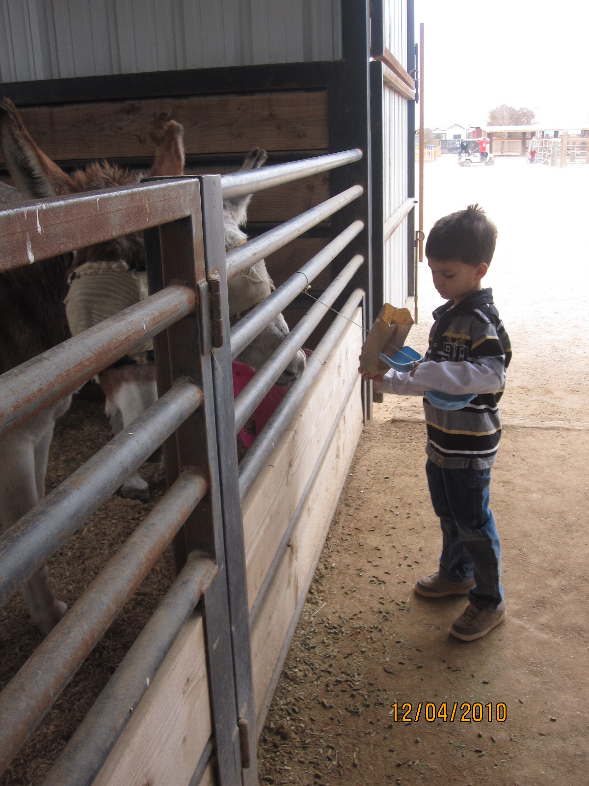 Owens Family: Marley Farms