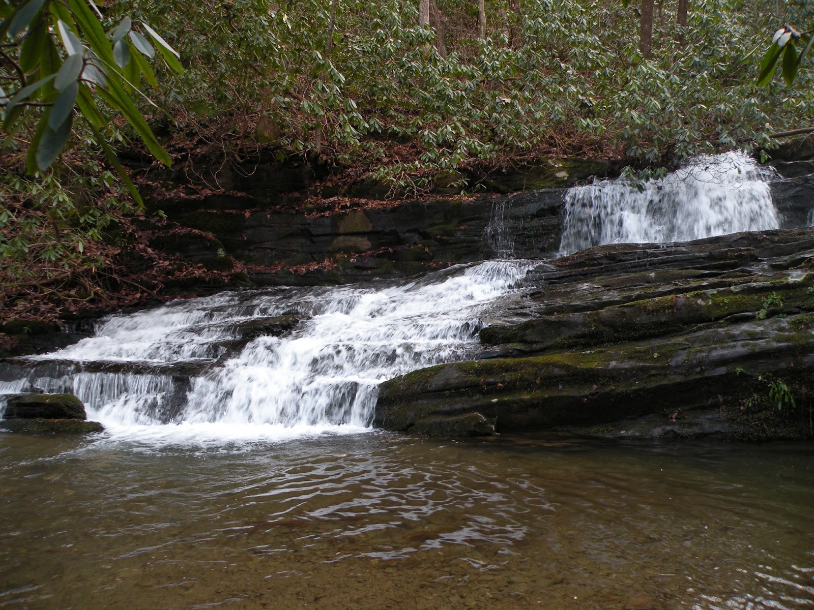 Cumberland Gal: Rhododendron Creek Hike With the Family