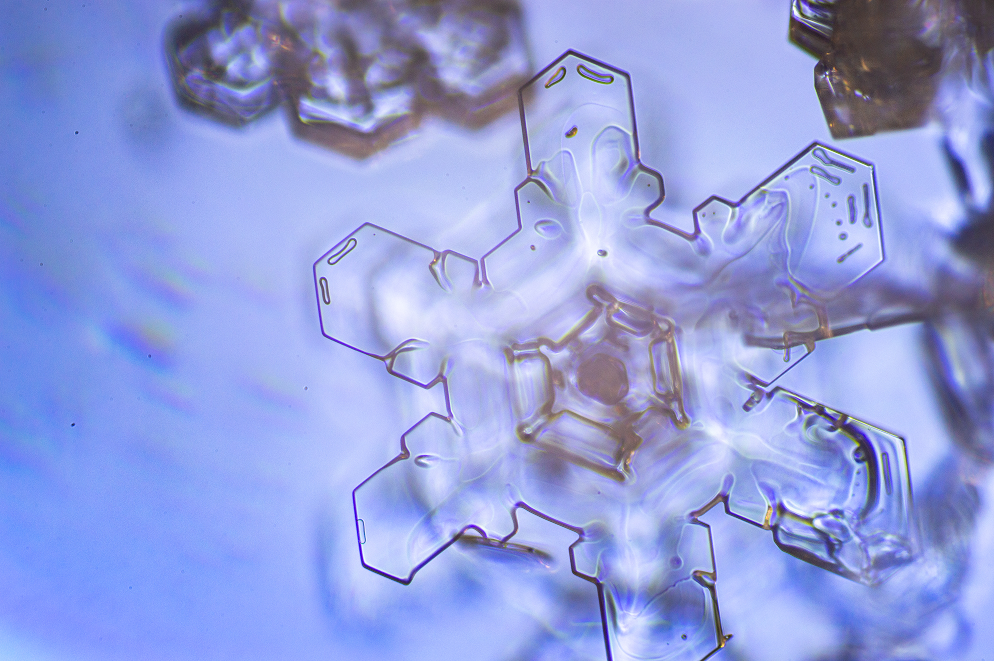 The Halo Vault: A 46° halo dominated surface display – crystal photos ...