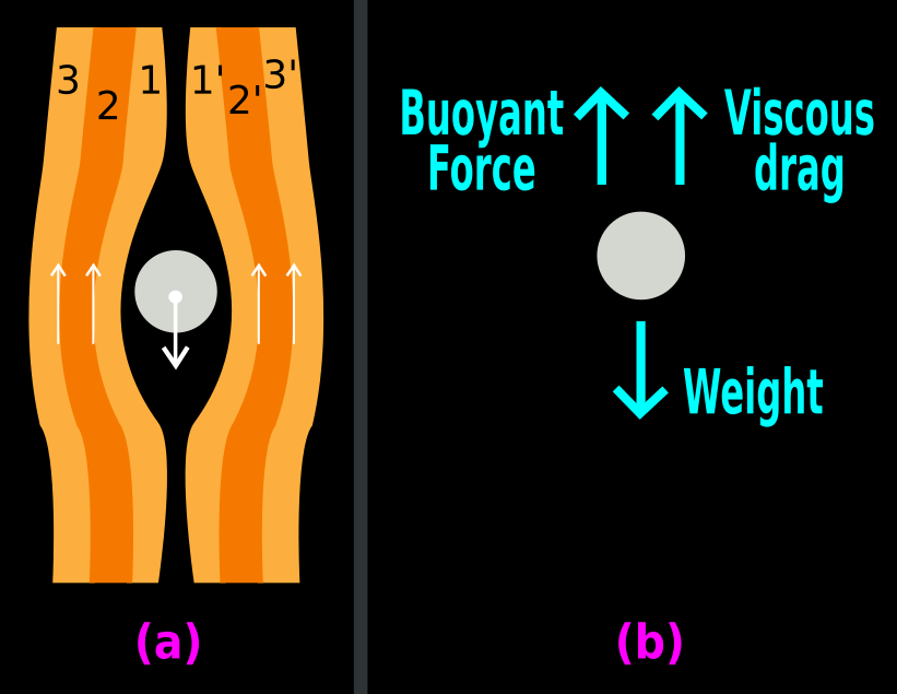 Higher Secondary Physics: Chapter 10.14 - Stokes Law and Reynolds Number