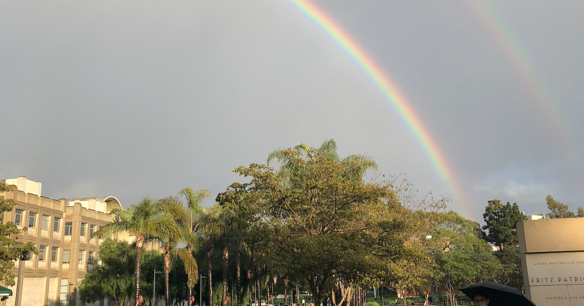 LMU launches mandatory Lion Health Check app | AGENCY