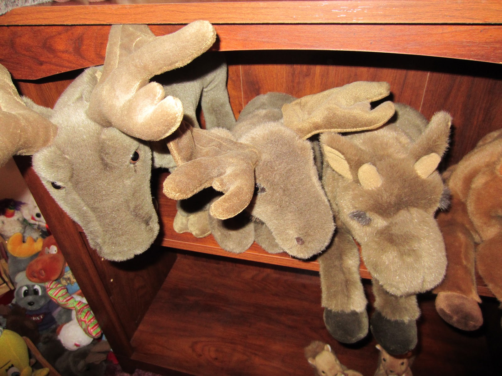 Moose Musings from THE MOOSE ROOM!: 15 Minutes of Fame...Part One: The ...