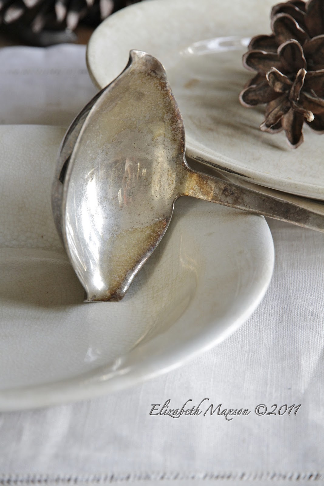 The Adventures of Elizabeth: Ladles of Love