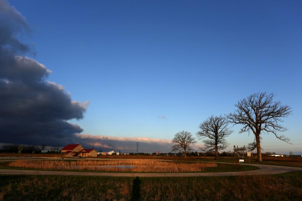 Ohio Birds and Biodiversity: Unpredictable April