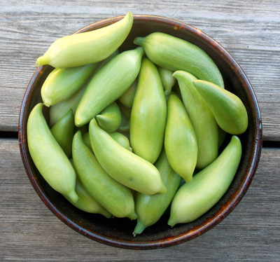 Pachamama Spectrum of Treasures: Exotic Fruits of Ecuador