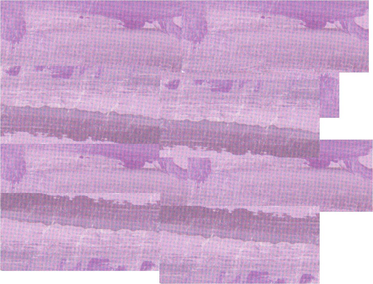 ExperimentMOM: Eric Carle-Inspired Letters using Microsoft Word ...