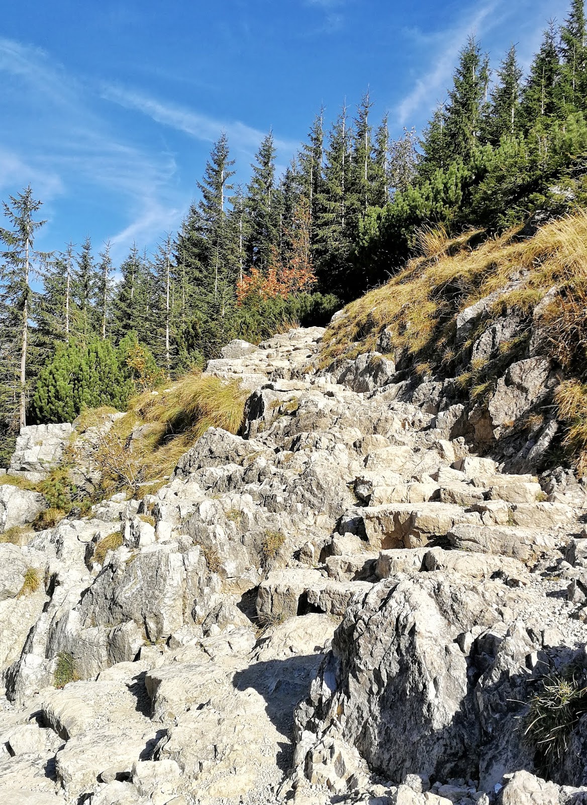 VAELLUSPÄIVÄ TATRAVUORILLA: DOLINA GASIENICOWA JA CZARNY STAW ...