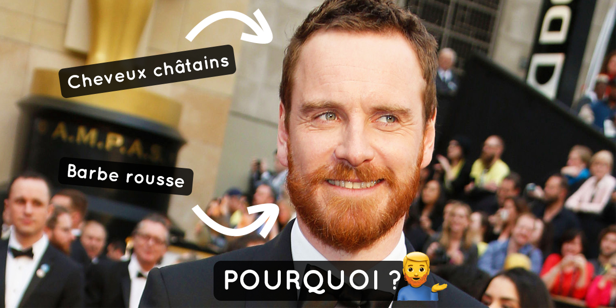 Pourquoi les hommes ont souvent la barbe rousse sans pour autant être ...