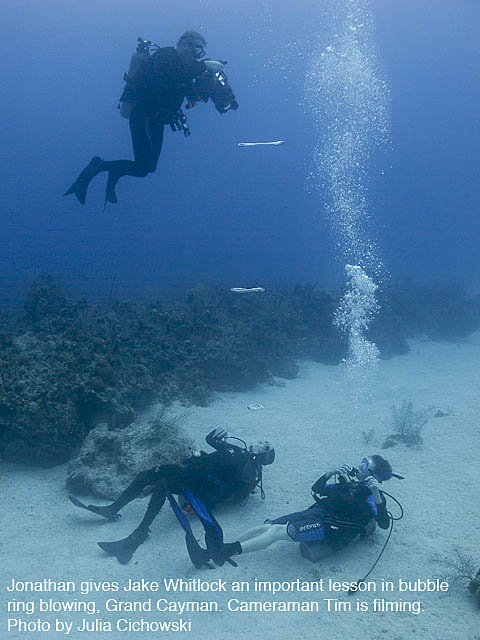 Jonathan Bird's Blue World: April 2011