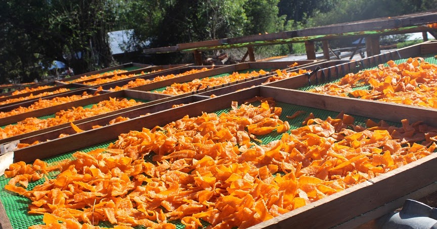 The Sancagulis Rice Cracker in Bayambang, Pangasinan