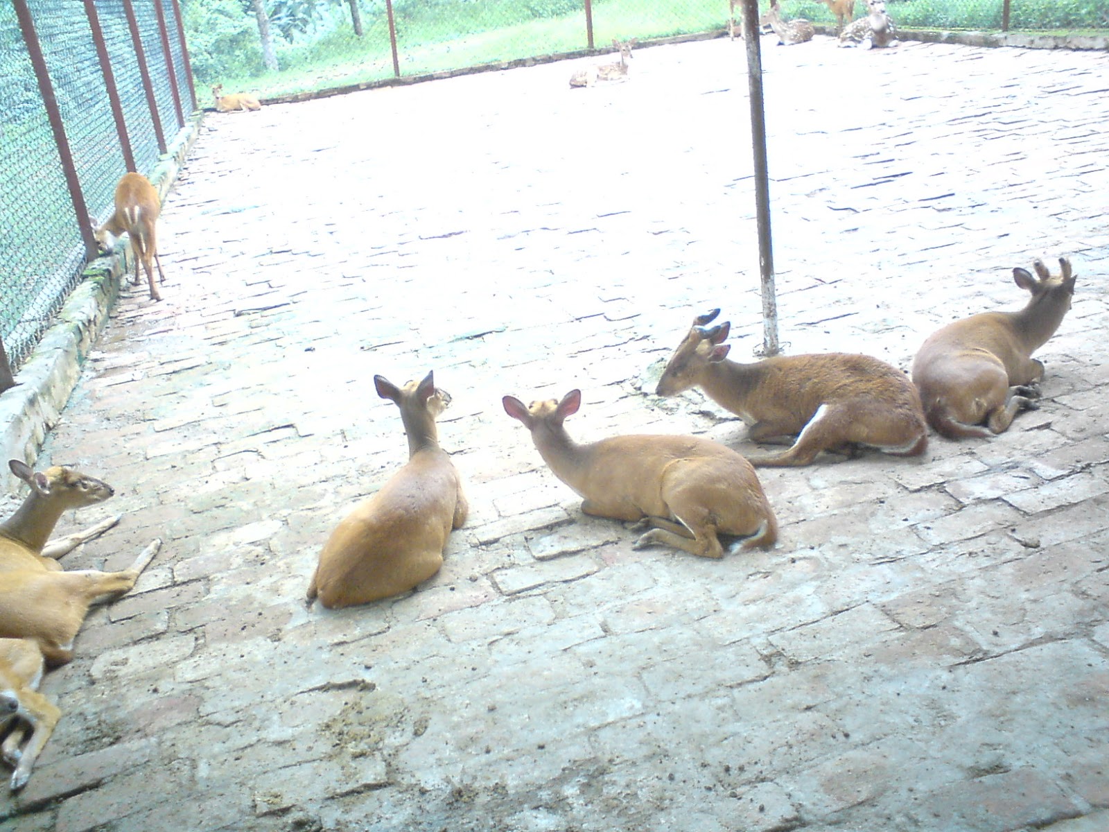 AMAZING BANGLADESH: MEGHLA