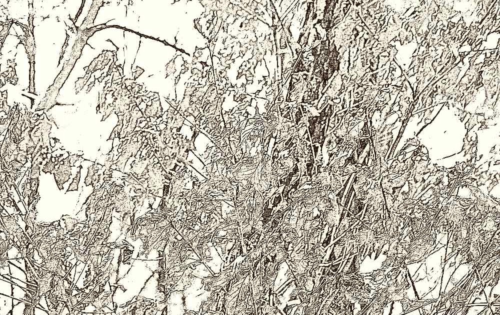 The Scriptures: Mark-05-04