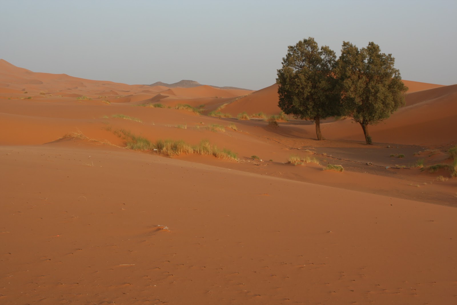 To See the Seven Continents: The Edge of the Sahara, Morocco