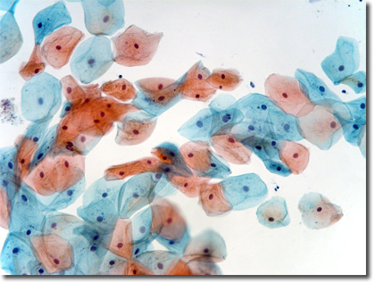 Citomed Citologia: APRENDENDO UM POUCO DE CITOLOGIA