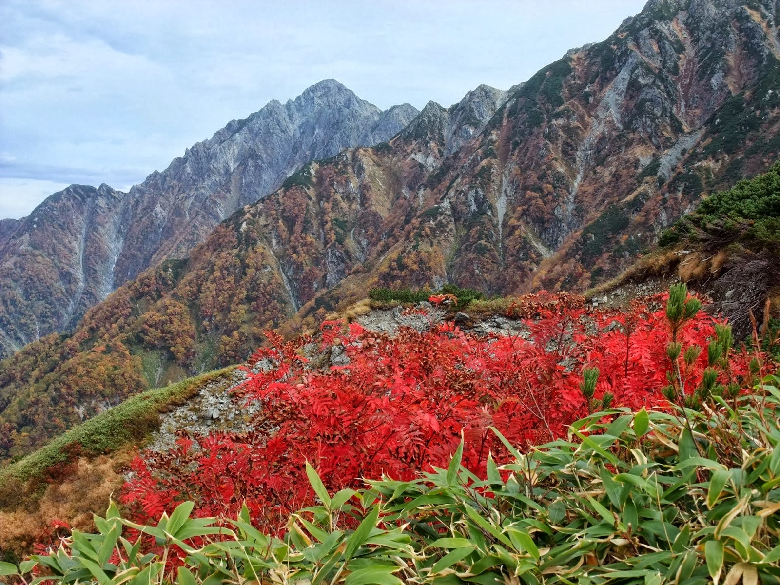 Vagare tra le cime: sulle Alpi giapponesi in esplorazione