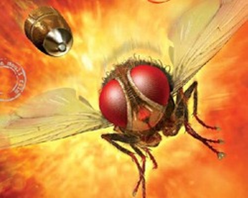 Wallpaper: Movie Makkhi Wallpaper, Sudeep, Samantha Ruth Prabhu, Nani ...