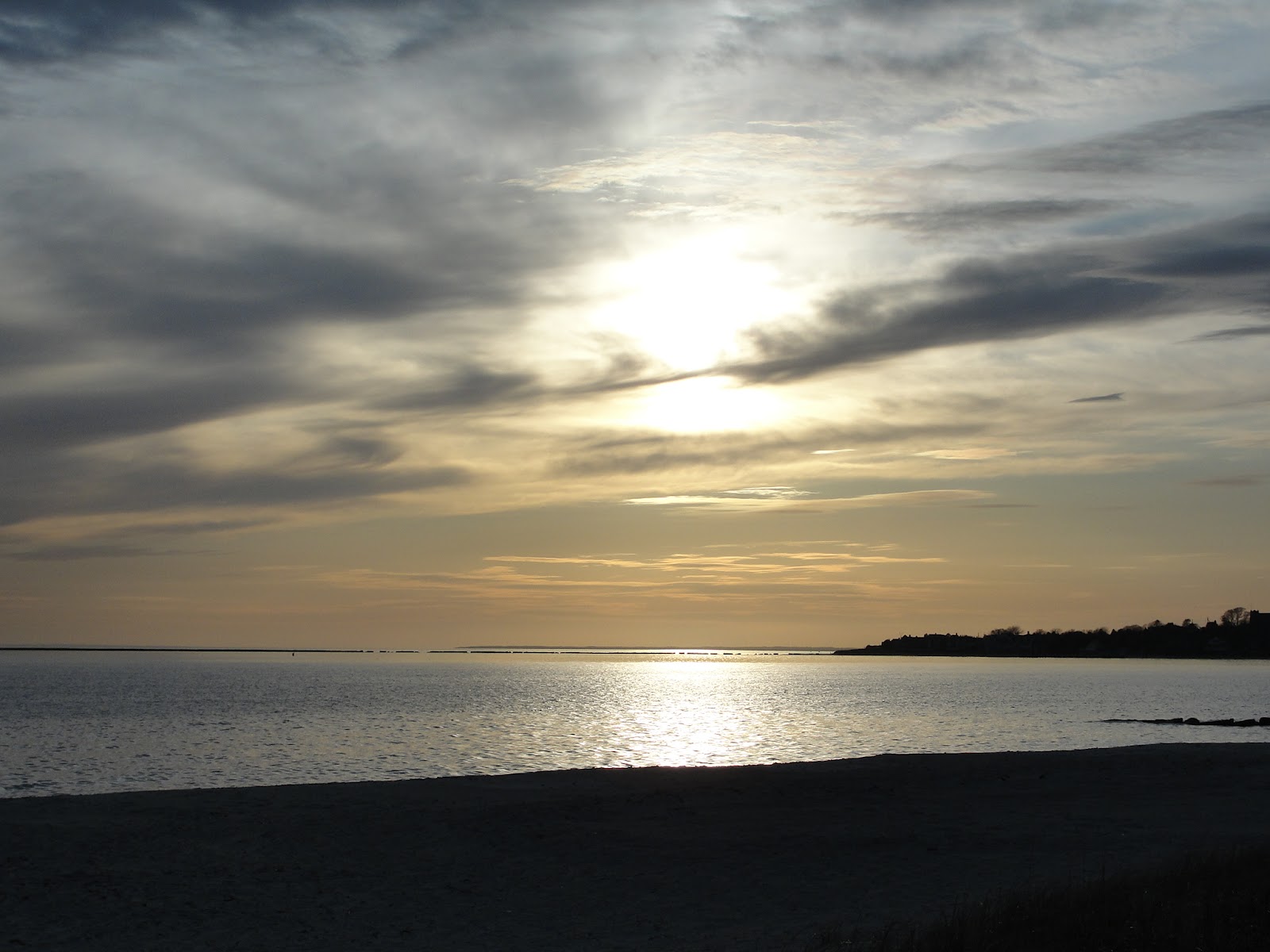 Happy Valentine’s Day | Mary Richmond's Cape Cod Art and Nature