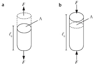 Rumus Tegangan dan Cara Menggunakannya | Fisika
