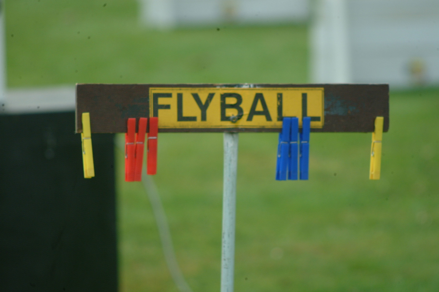 Flyball: Flyball?