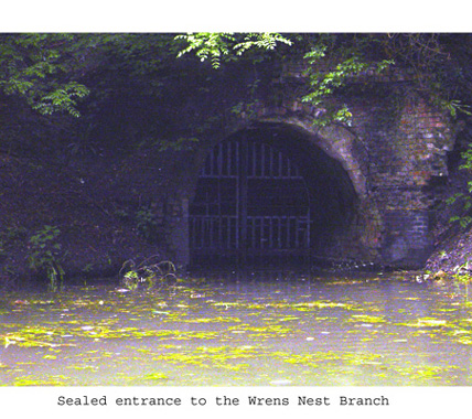 Darley's Daily Dawdle