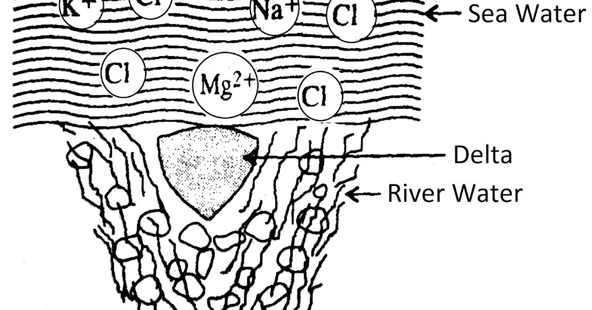Surface Chemistry Part - 10 | Class 12th
