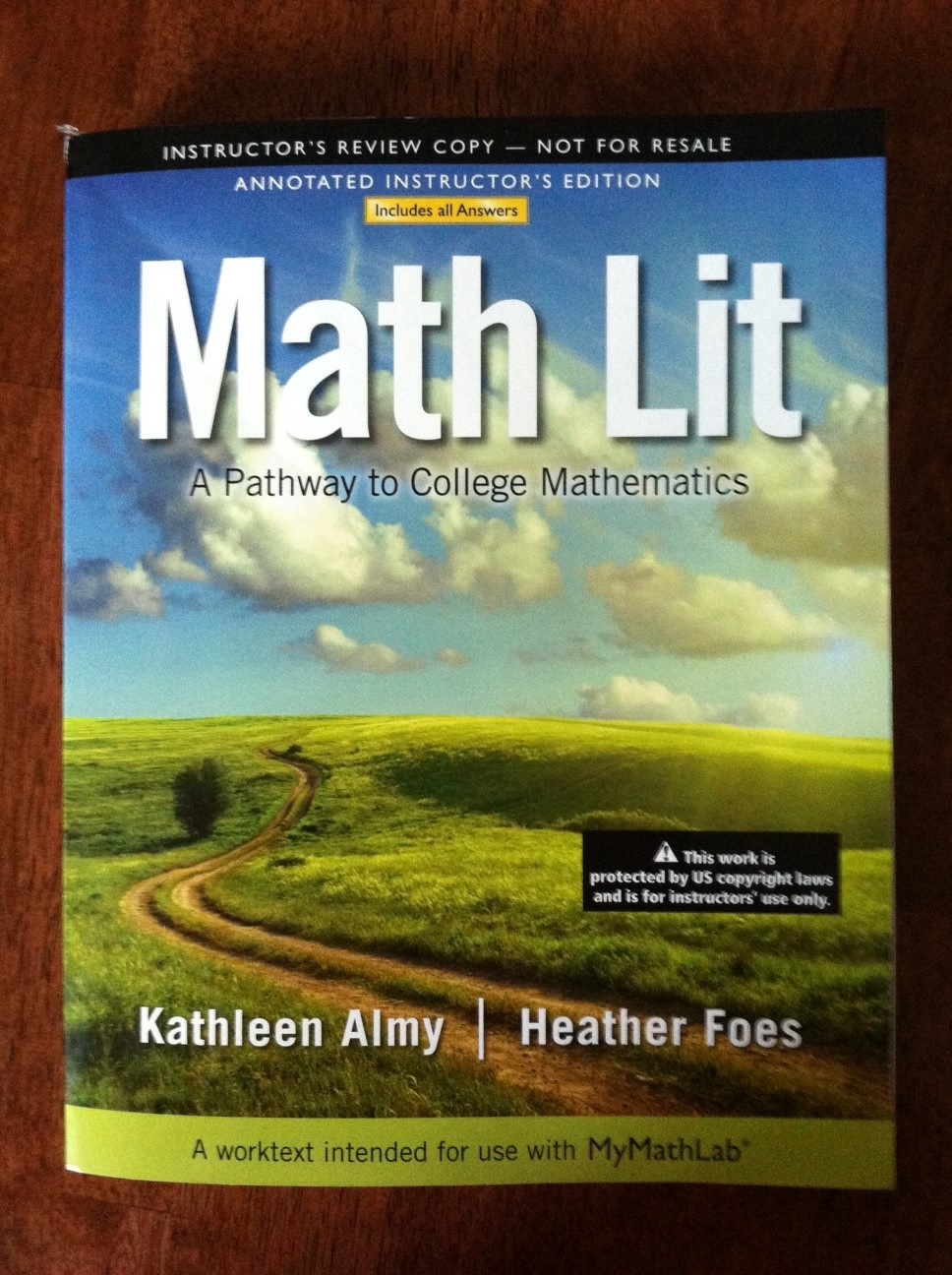 Rebel with a cause: Math Lit now available!