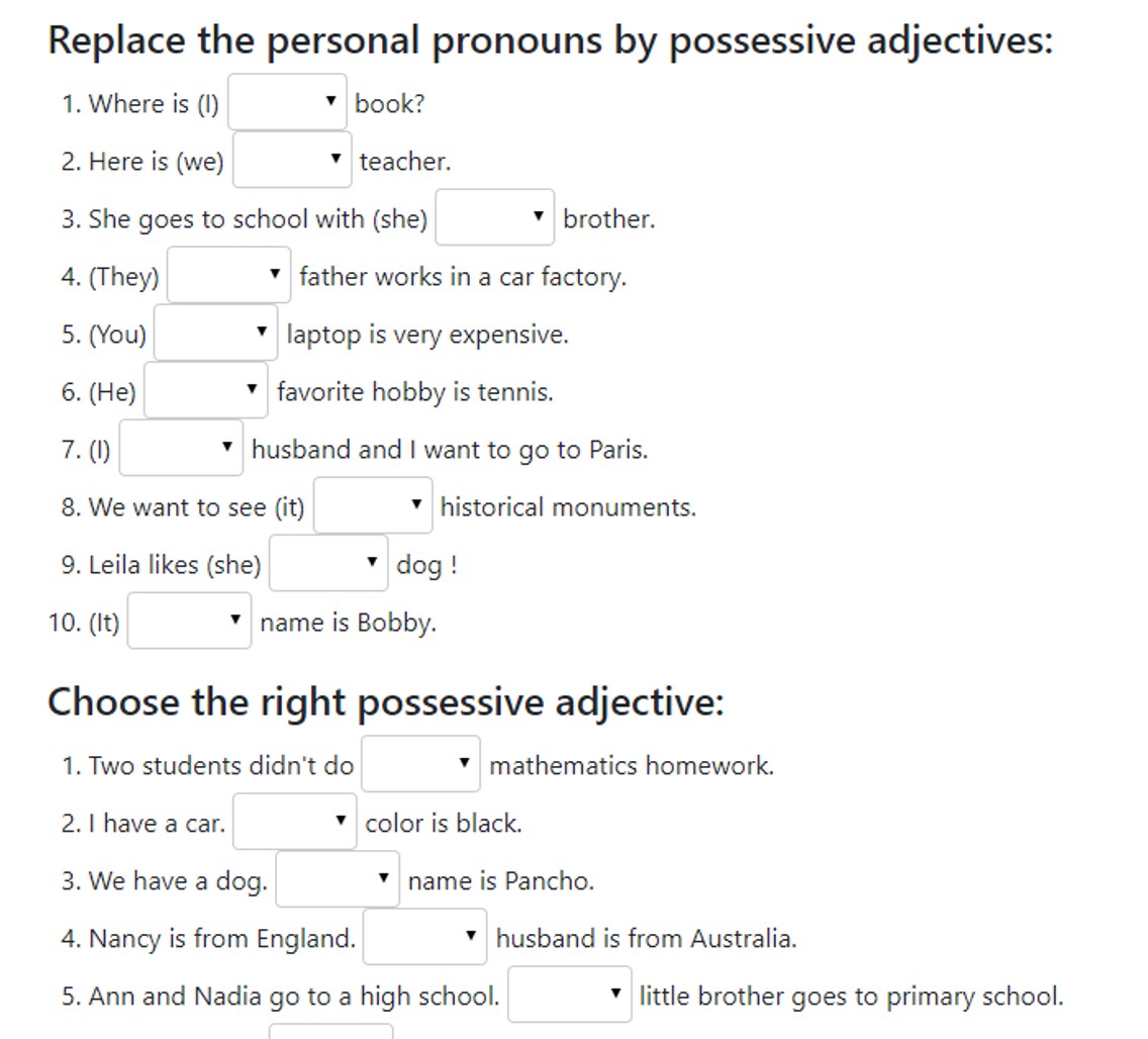 Possessive Adjectives